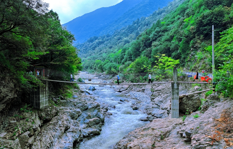 Forest rangers safeguard Qinling Mountains with concrete efforts - The Belt and Road News Network